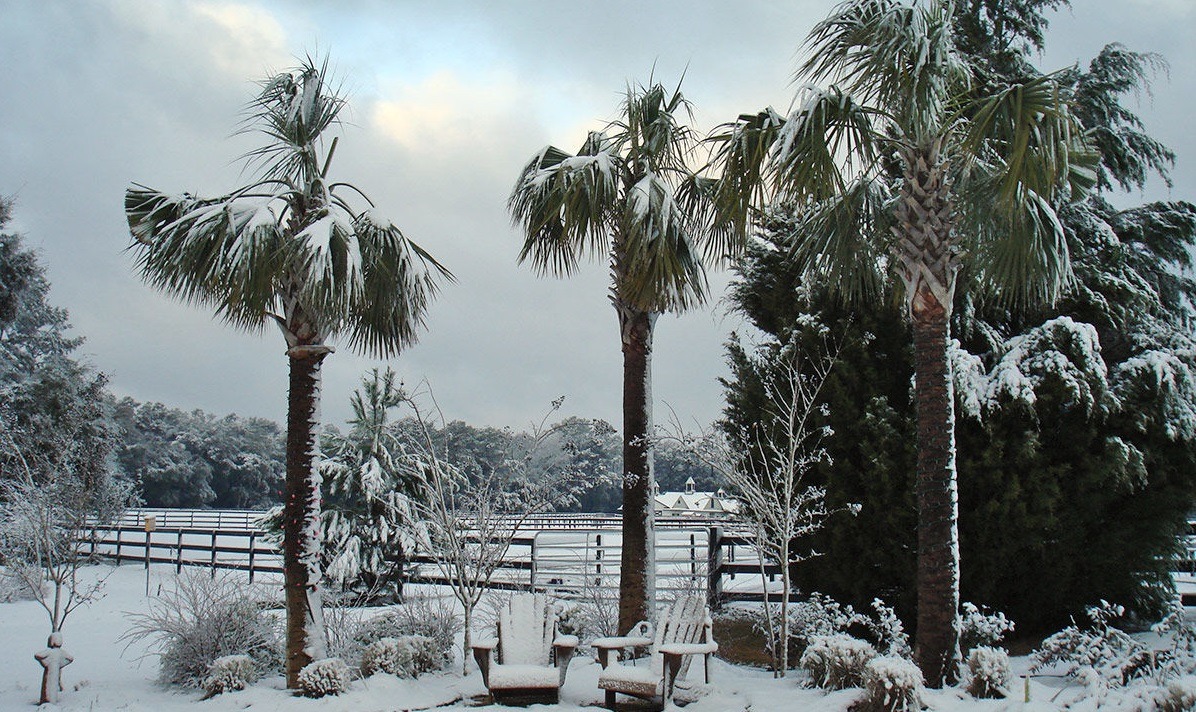 SNOW In the US Southwest We Get Sun-Dr. P Takes on Coke - Tyler Glen Show