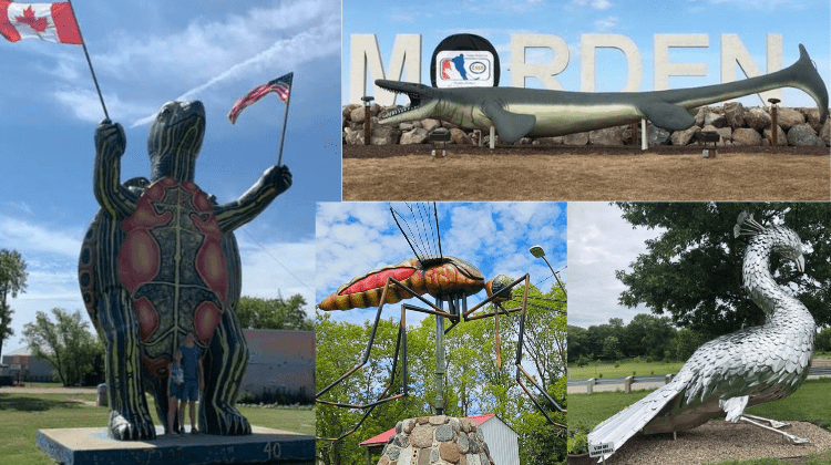 Community Mascots, Statues & Attractions - Tyler Glen Show