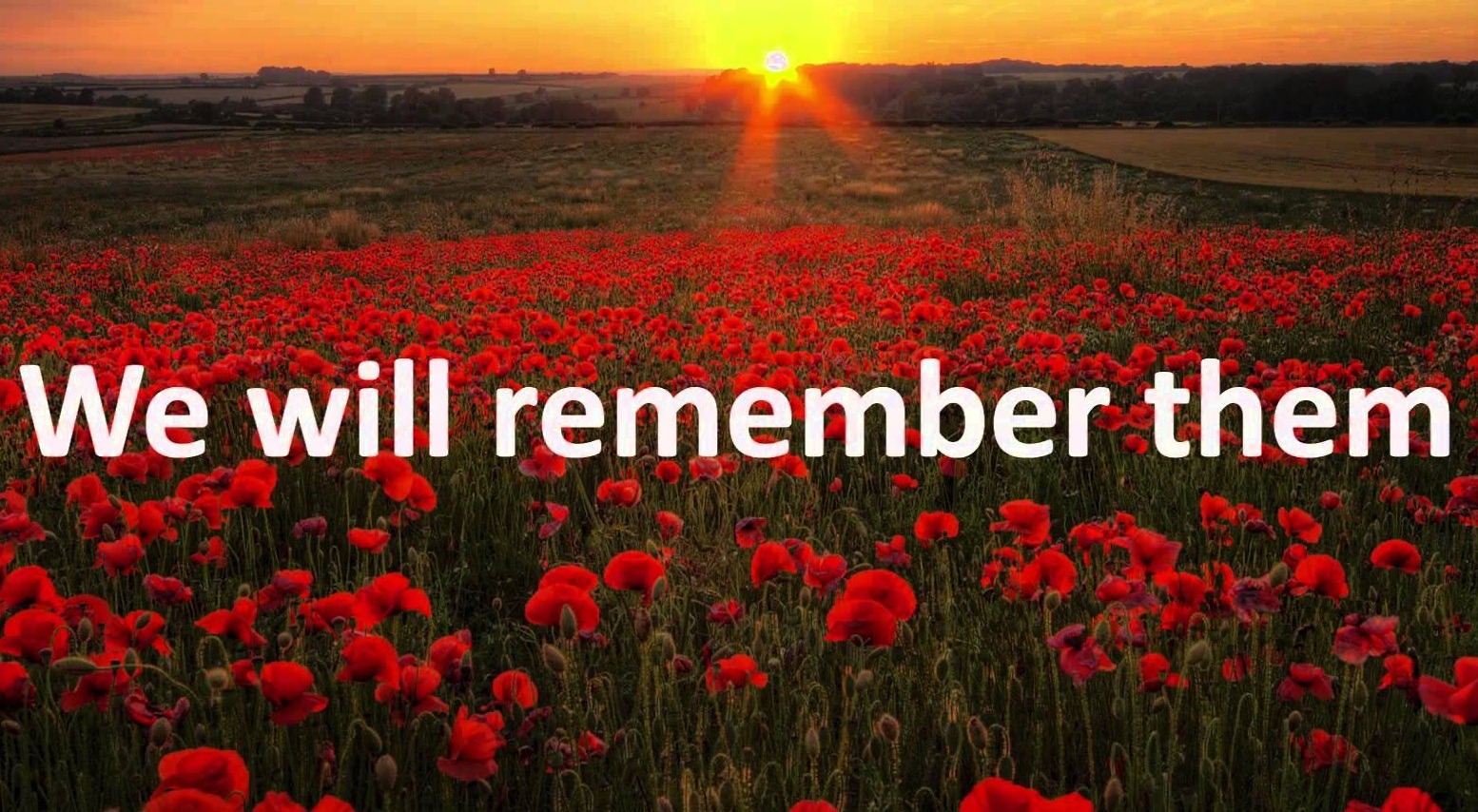 We Will Remember Them - Tyler Glen Show